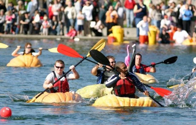 Pumpkin regatta (7 pics) - Izismile.com