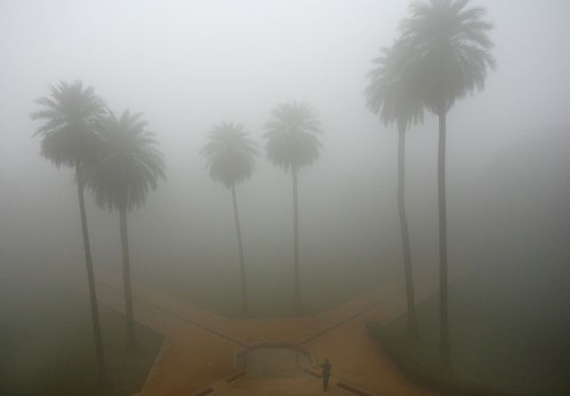 Fog is everywhere in the world (27 pics) - Izismile.com