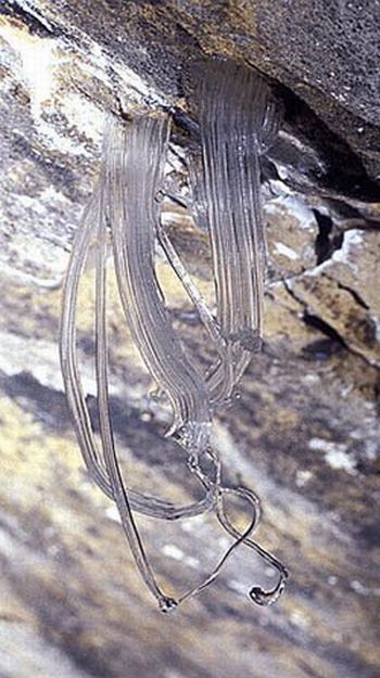 Le monde souterrain (38 pics) - Izismile.com