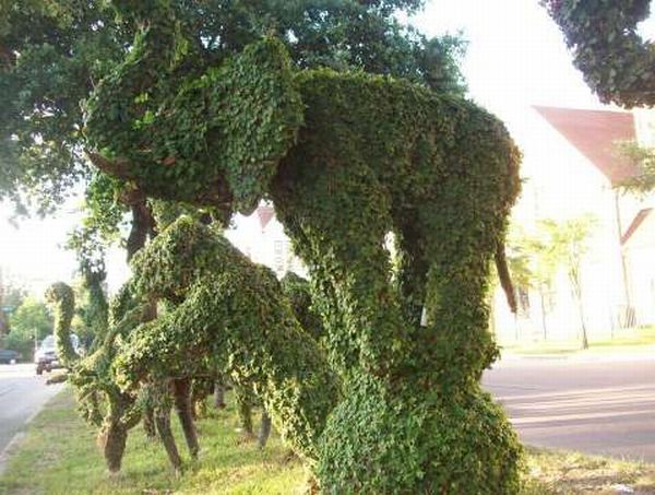 Topiarys (9 pics) - Izismile.com