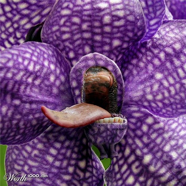 Photomontages with Flowers (37 pics) - Izismile.com