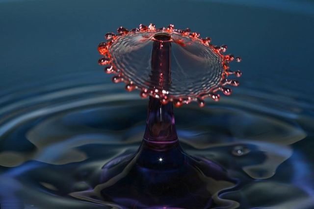Amazing drop photography (17 pics) - Izismile.com