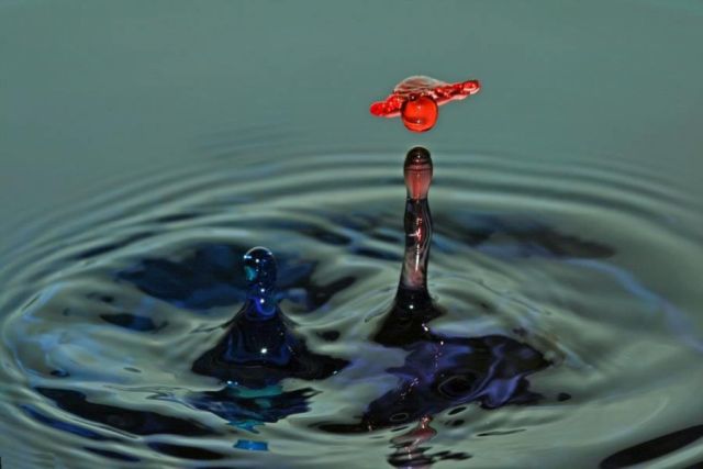 Amazing drop photography (17 pics) - Izismile.com