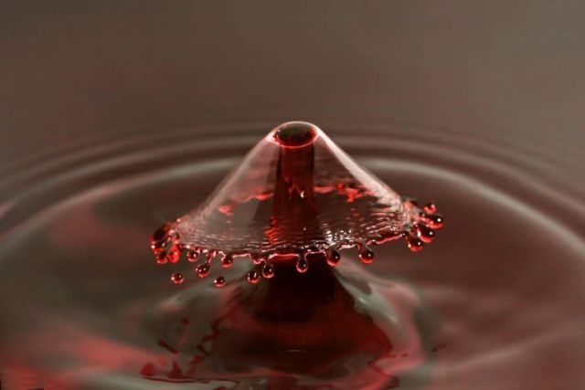 Amazing drop photography (17 pics) - Izismile.com