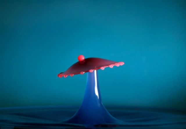 Amazing drop photography (17 pics) - Izismile.com