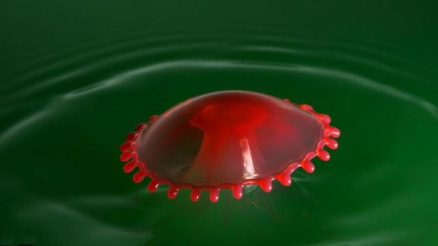 Amazing drop photography (17 pics) - Izismile.com