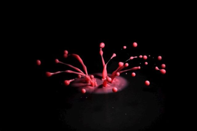 Amazing drop photography (17 pics) - Izismile.com