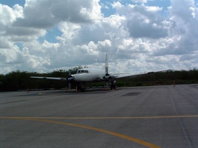 Plane vs bird. Plane wins :( (12 pics) - Izismile.com