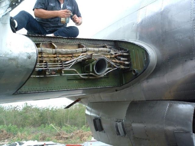 Plane vs bird. Plane wins :( (12 pics) - Izismile.com