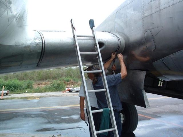 Plane vs bird. Plane wins :( (12 pics) - Izismile.com