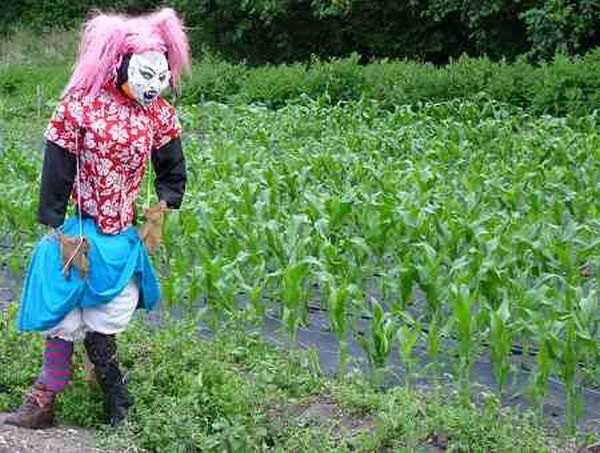 Really Horrible Scarecrows ;) (9 pics) - Izismile.com