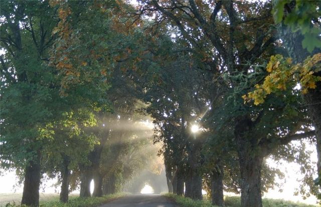 Autumn in Latvia (38 pics) - Izismile.com