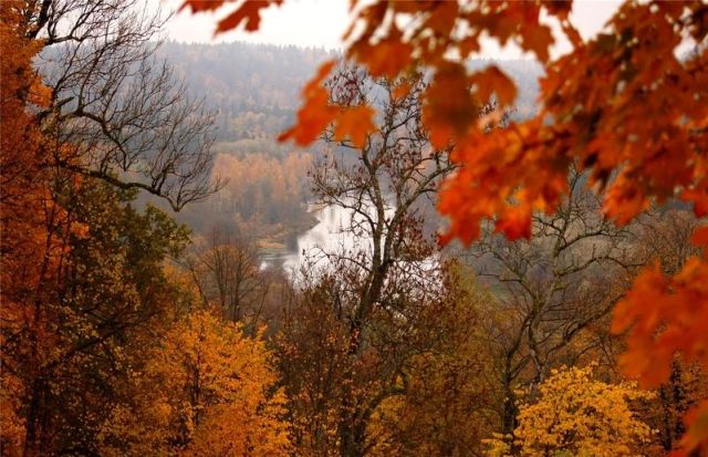 Autumn in Latvia (38 pics) - Izismile.com