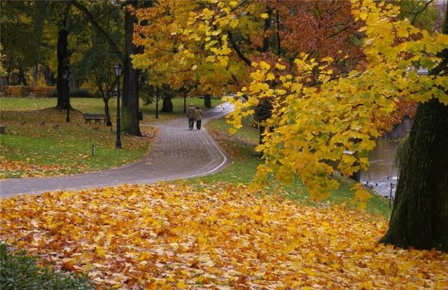 Autumn in Latvia (38 pics) - Izismile.com