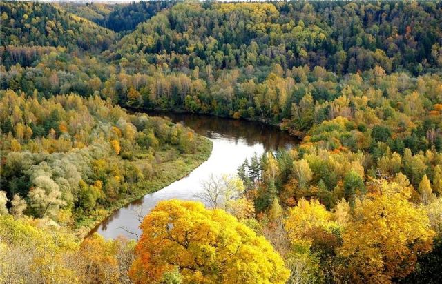 Autumn in Latvia (38 pics) - Izismile.com