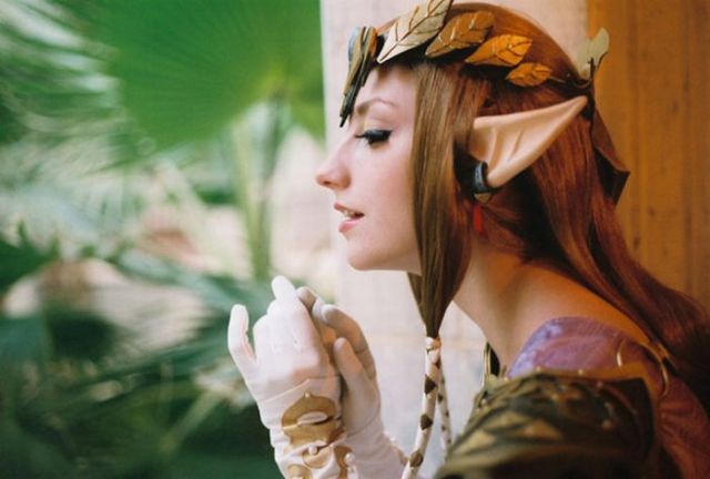 Princess Zelda (18 pics) - Izismile.com