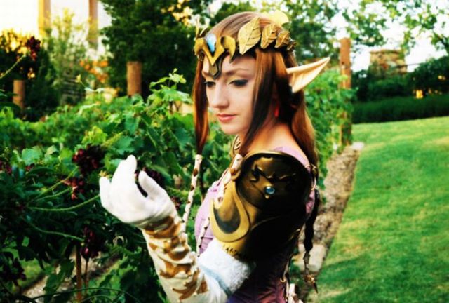 Princess Zelda (18 pics) - Izismile.com