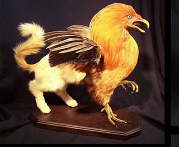 Making the Natural into the Unnatural (12 pics) - Izismile.com