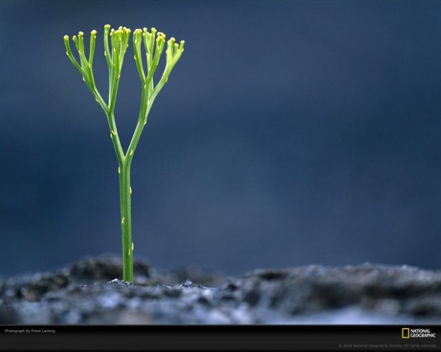 Incredible Environmental Photography (20 pics) - Izismile.com