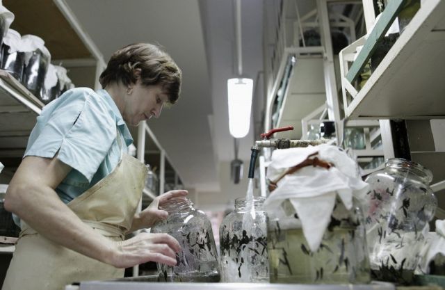 Leech Farm (10 pics) - Izismile.com