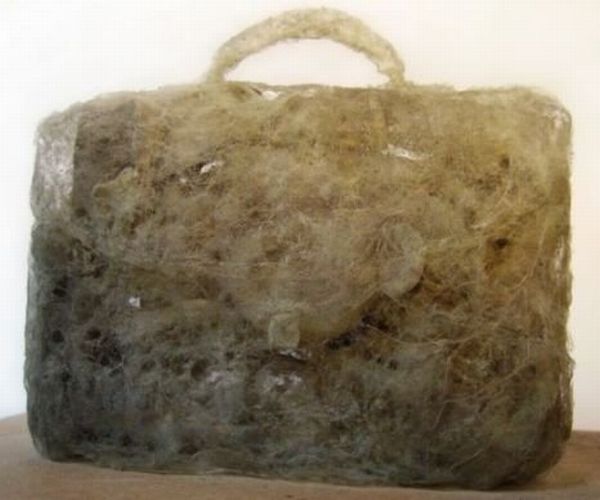 Patterns from Dust (9 pics) - Izismile.com