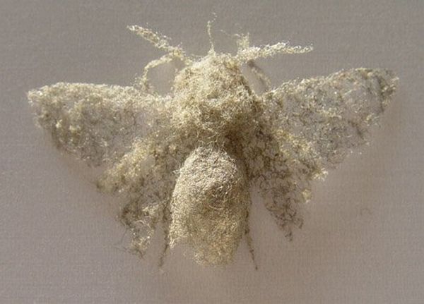 Patterns from Dust (9 pics) - Izismile.com