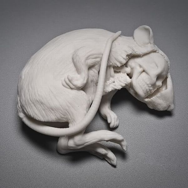 Different Porcelain Stuff (14 pics) - Izismile.com