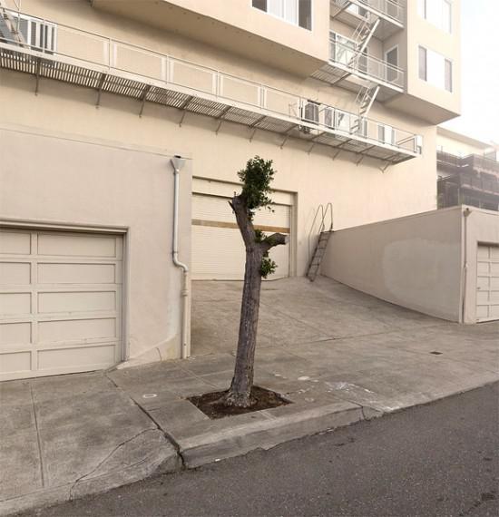 Interesting Tree Design (14 pics) - Izismile.com