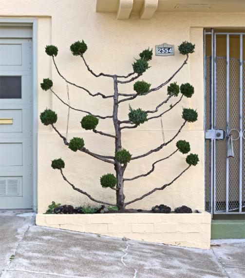 Interesting Tree Design (14 pics) - Izismile.com