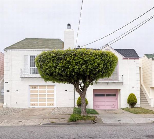 Interesting Tree Design (14 pics) - Izismile.com