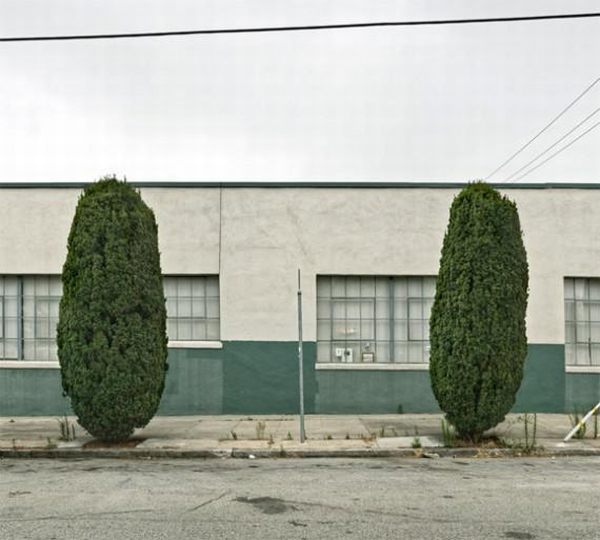 Interesting Tree Design (14 pics) - Izismile.com