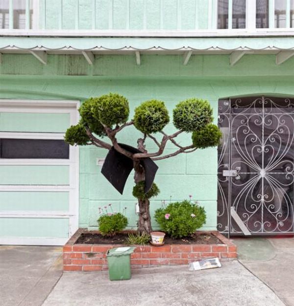 Interesting Tree Design (14 pics) - Izismile.com