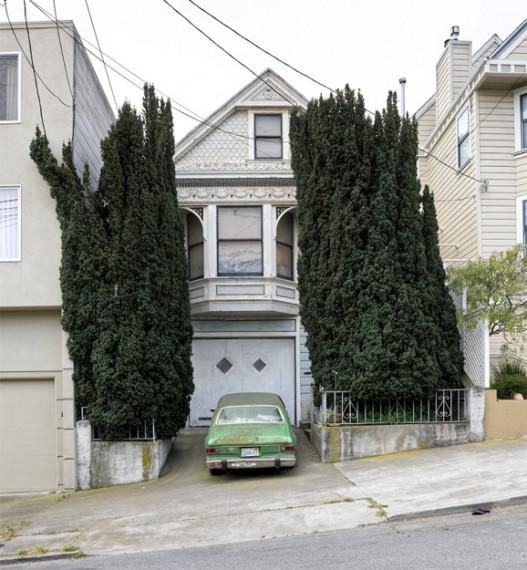 Interesting Tree Design (14 pics) - Izismile.com