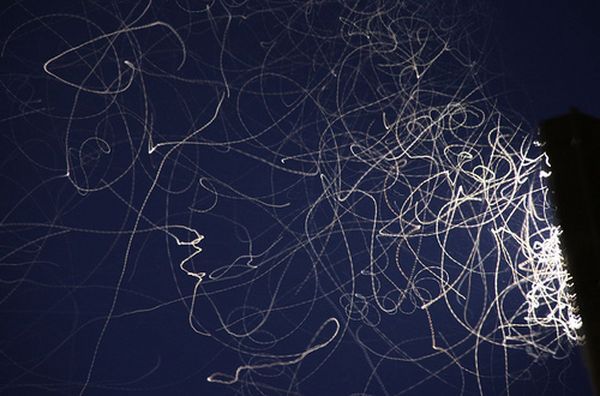 Flying Moths Caught on Camera Leaving Traces Behind Them at Night (17 ...