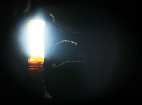 Flying Moths Caught on Camera Leaving Traces Behind Them at Night (17 ...