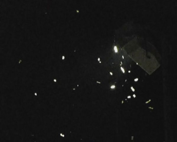 Flying Moths Caught on Camera Leaving Traces Behind Them at Night (17 ...