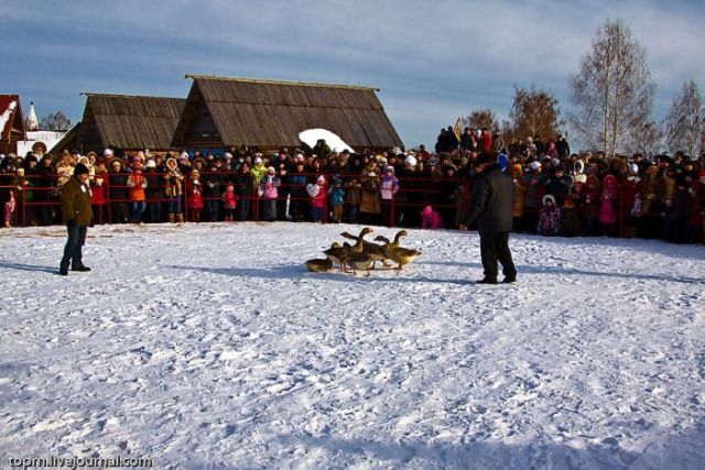 Russian Tradition : Goose Fight (8 pics) - Izismile.com
