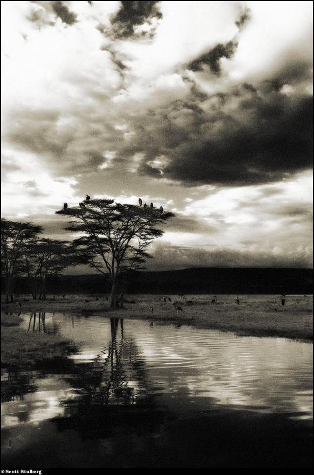 Photo-voyage to Africa with Scott Stulberg (63 pics) - Izismile.com