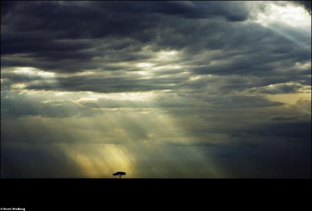 Photo-voyage to Africa with Scott Stulberg (63 pics) - Izismile.com