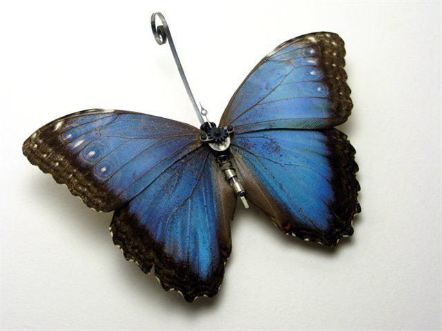 Awesome Steampunk Bugs by Mike Libby (26 pics) - Izismile.com