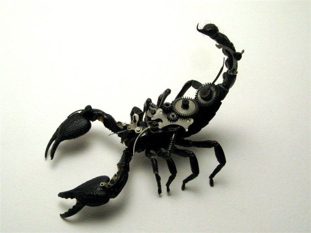 Awesome Steampunk Bugs by Mike Libby (26 pics) - Izismile.com