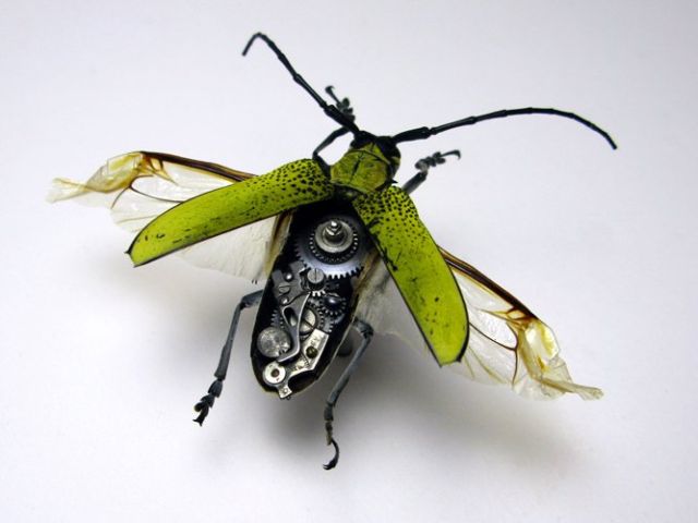 Awesome Steampunk Bugs by Mike Libby (26 pics) - Izismile.com