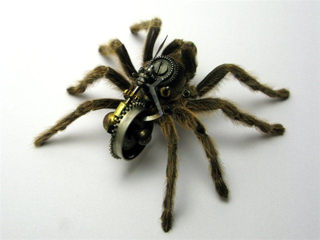 Awesome Steampunk Bugs by Mike Libby (26 pics) - Izismile.com