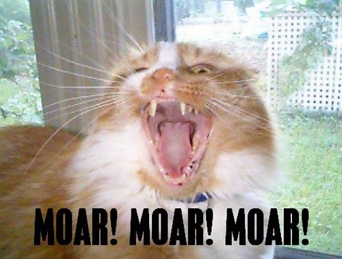 Selection of MOAR Faces (47 pics) - Izismile.com