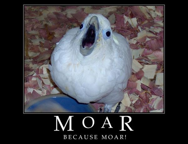 Selection of MOAR Faces (47 pics) - Izismile.com