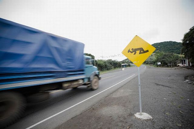 Hilarious Road Signs (25 pics) - Izismile.com