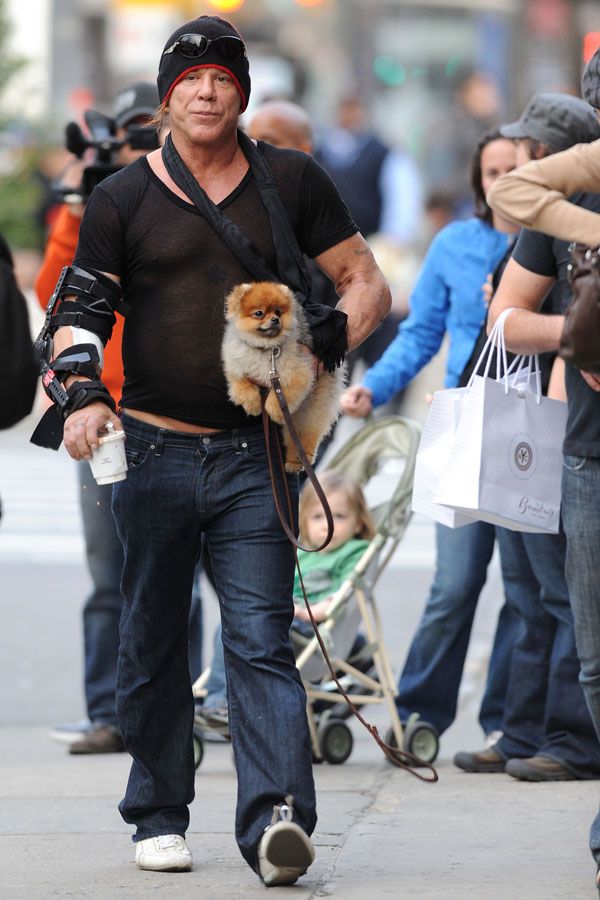 Mickey Rourke Looking Good (5 pics) - Izismile.com