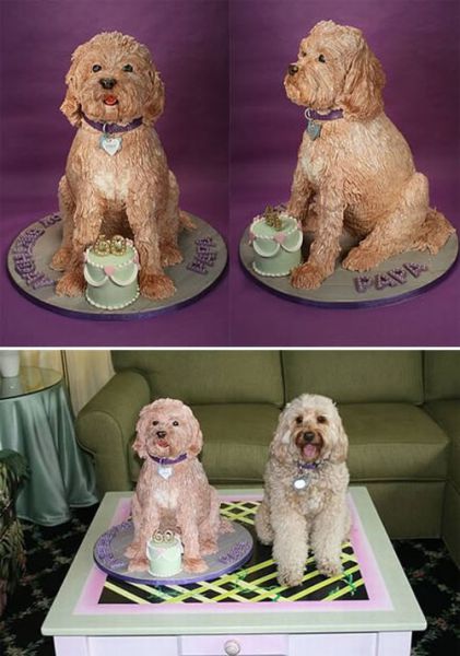 Cool Cakes in the Form of Dogs (12 pics) - Izismile.com