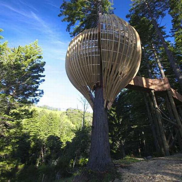 Amazing Crysalis Treehouse Restaurant (7 pics) - Izismile.com