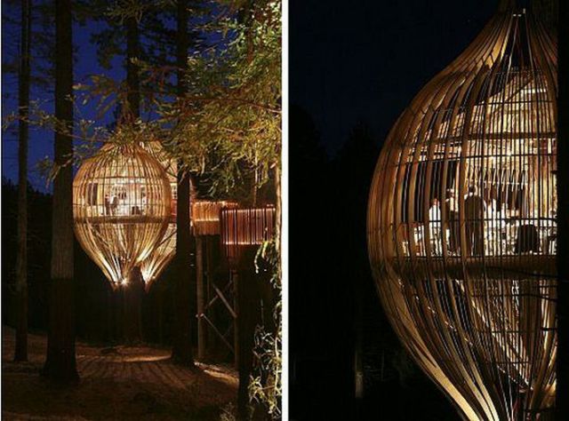 Amazing Crysalis Treehouse Restaurant (7 pics) - Izismile.com